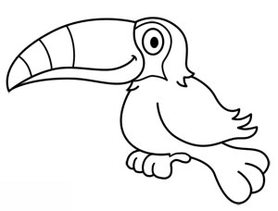 Tukan zeichnen lernen schritt für schritt tutorial - Zeichnen leicht ...