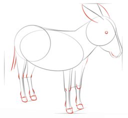 Esel zeichnen lernen schritt für schritt tutorial - Zeichnen leicht gemacht