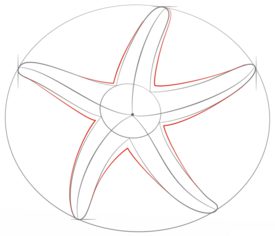 Seestern zeichnen lernen schritt für schritt tutorial - Zeichnen leicht ...